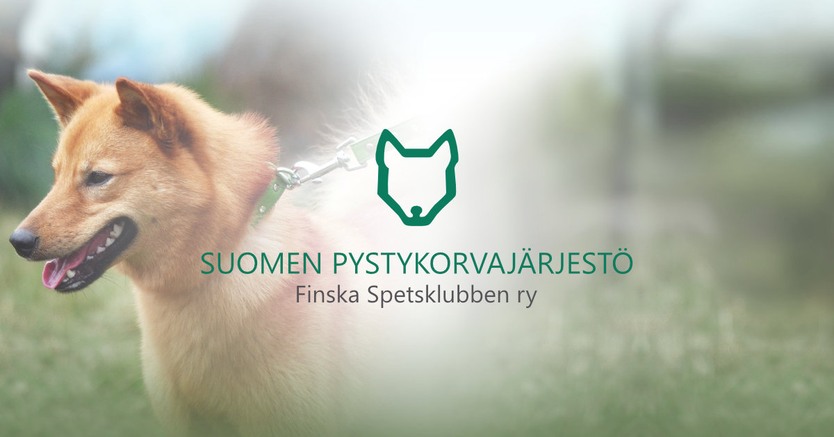 Astutus – Suomen Pystykorvajärjestö